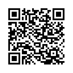 ZFund Submissions – 786 Investments Ltd